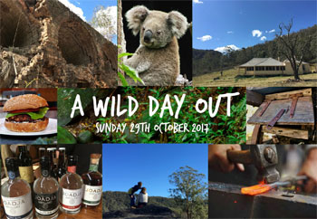 A WILD Day Out | Girl.com.au