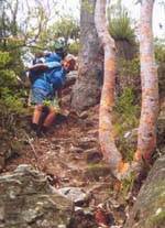 Bushwalking | Girl.com.au