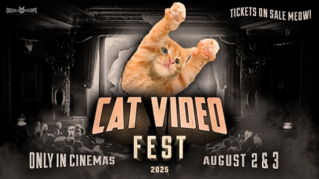 CatVideoFest In Cinemas 2 & 3 August | Girl.com.au