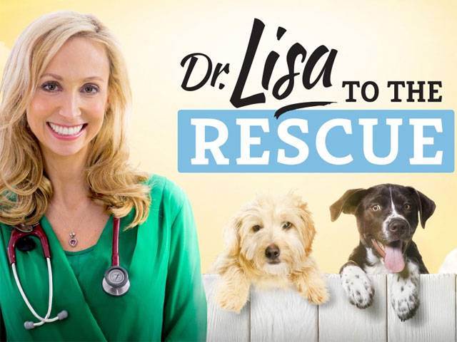 Dr Lisa to the Rescue Interview | Girl.com.au