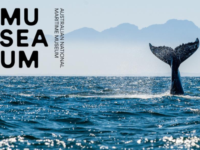 Welcome Whales into the Classroom for Annual Humpback Day | Girl.com.au