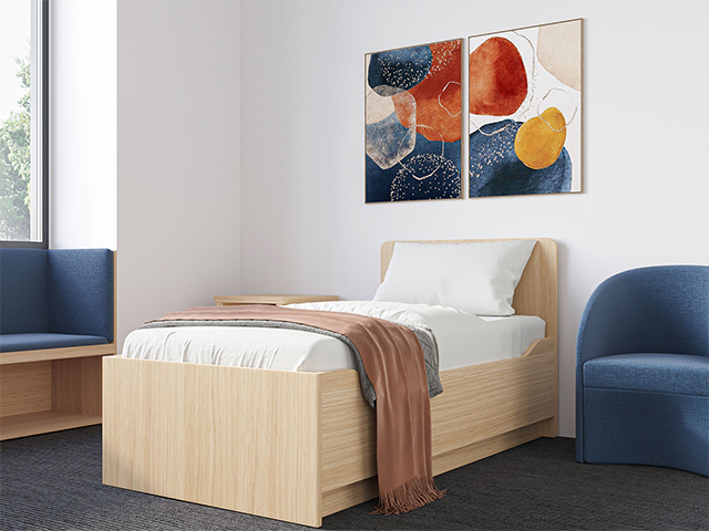 Designing Therapeutic Spaces: The Role of Mental Health Beds in ...