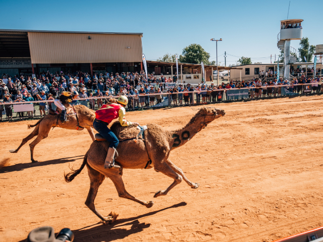Queensland's New Outback Adventure is Camel-tastic | Girl.com.au