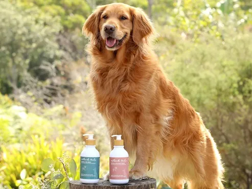 Outback Tails Natural Dog Grooming Range Review | Girl.com.au