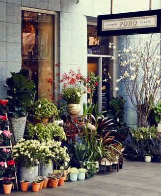 Poho Flowers Flourishes With A New Locally Grown Philosophy | Girl.com.au