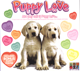 Puppy Love | Girl.com.au