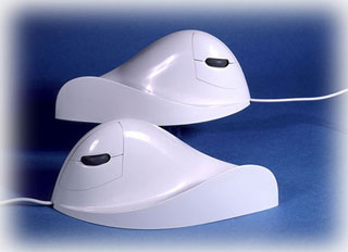 Computer Health - Quill Mouse | Girl.com.au
