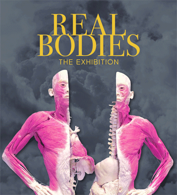 Real Human Bodies Exhibition Tickets | Girl.com.au