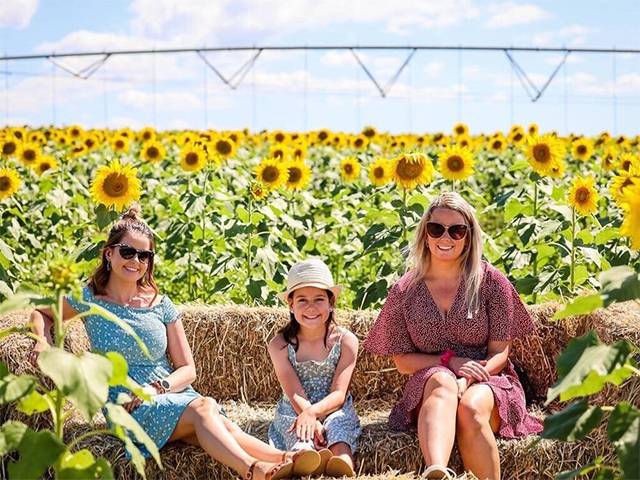 Kalbar Sunflower Festival | Girl.com.au