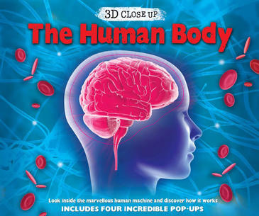 Human Body: 3D Close-Up | Girl.com.au