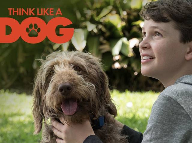 Think Like A Dog | Girl.com.au