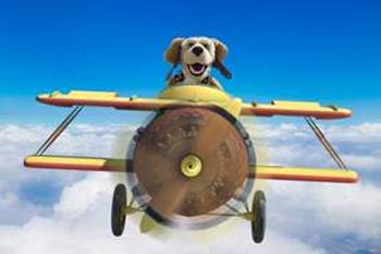 ZooMoo | Girl.com.au